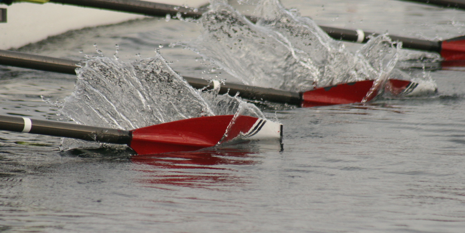 Lake Union Crew | Where Teamwork is Everything